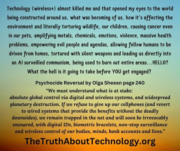 Low Intensity Electromagnetic Fields Act via Voltage-Gated Calcium ...